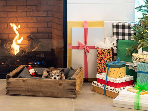 A Look Back: The Roth Family Holiday House