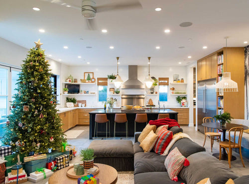 A Look Back: The Roth Family Holiday House